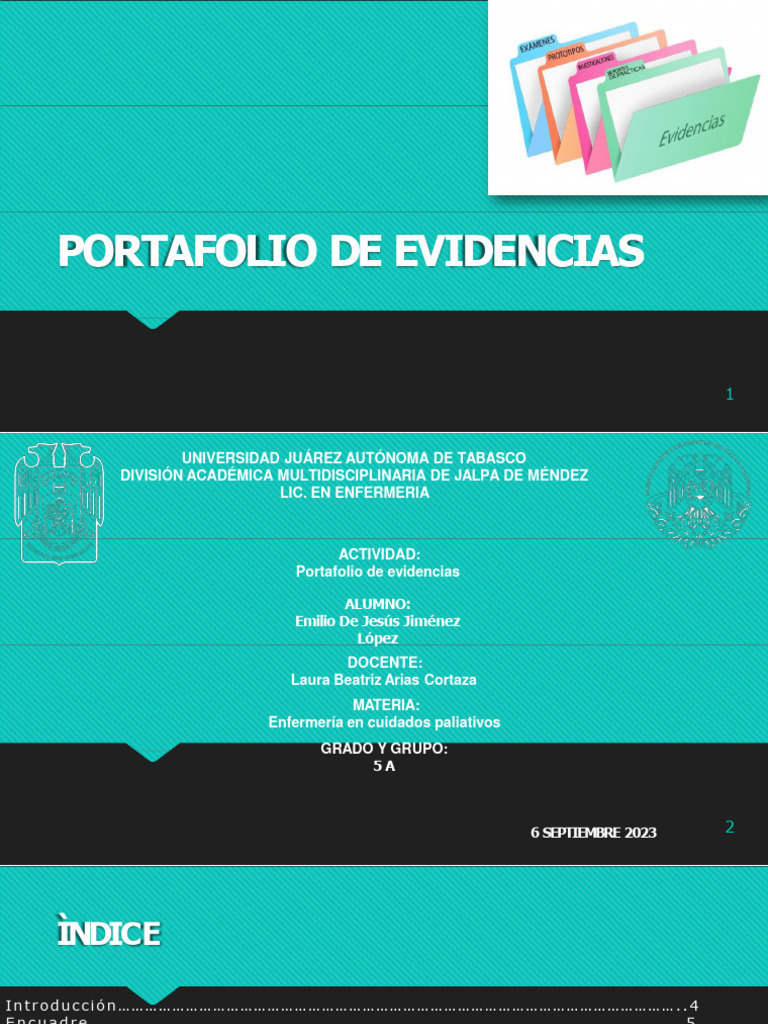 Portafolio de Evidencias | PDF