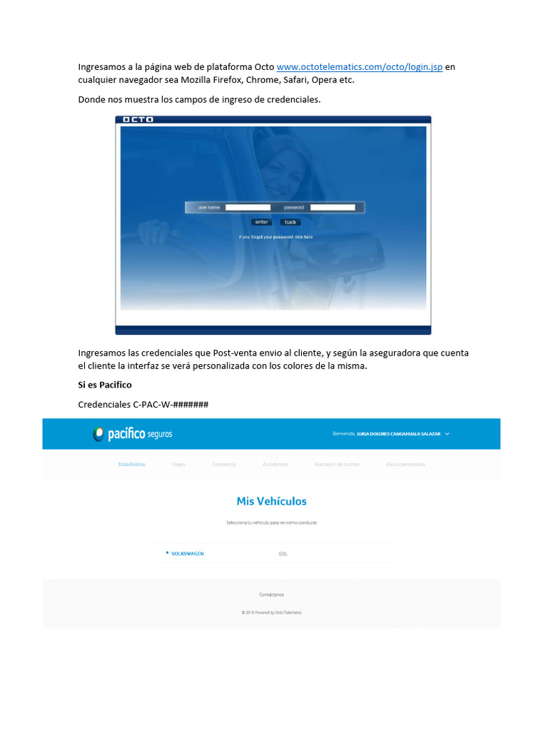 Manual de Plataforma Octo | PDF