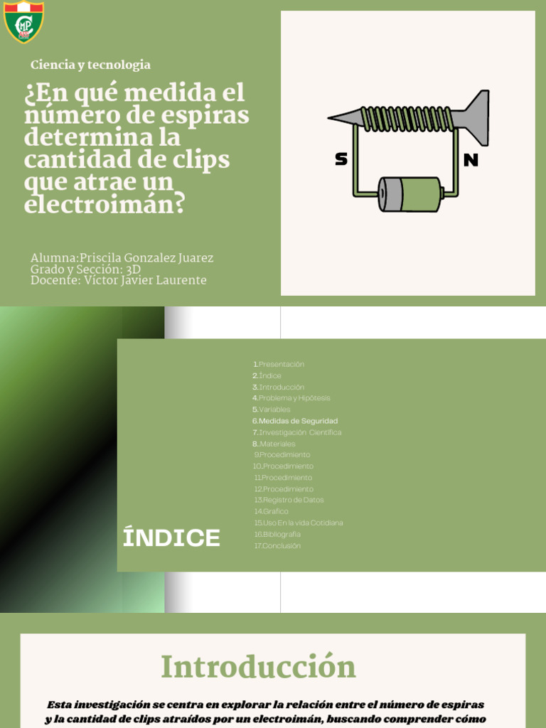 Electroiman Cta | PDF | Magnetismo | Física
