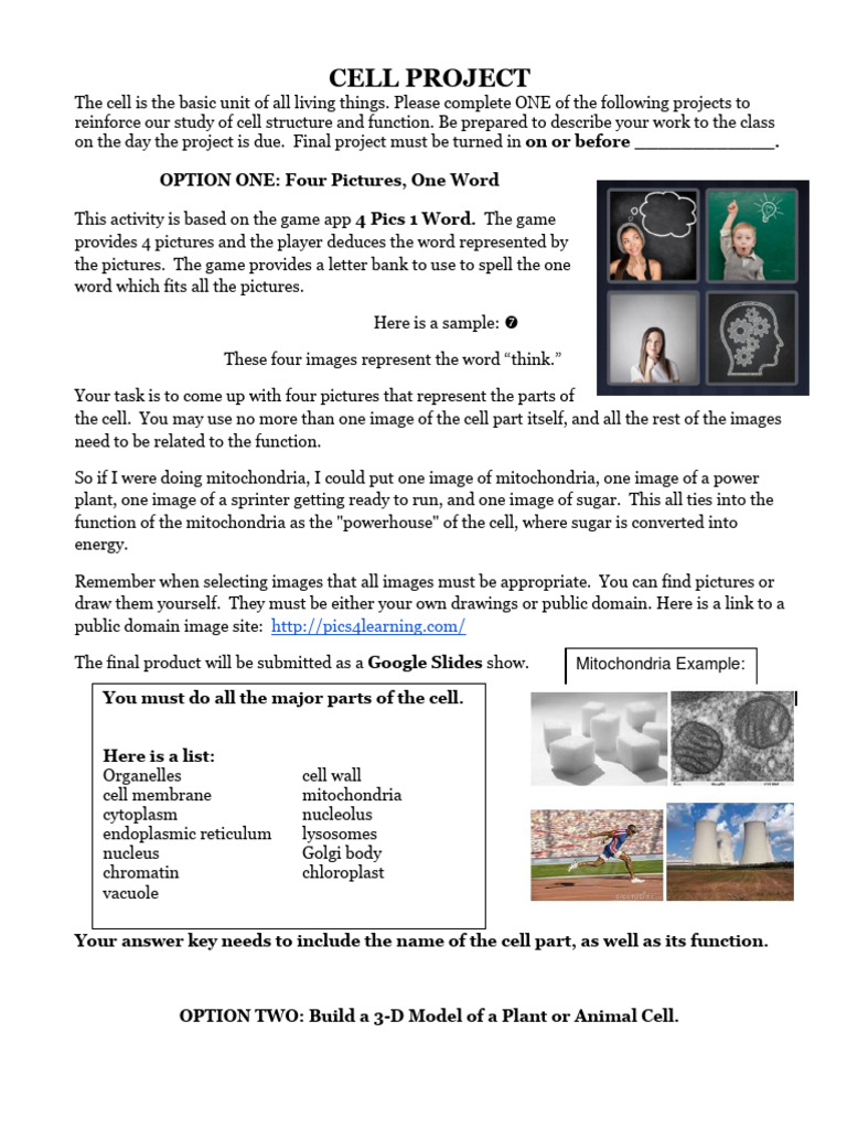 Cell Project | PDF | Cell (Biology) | Mitochondrion