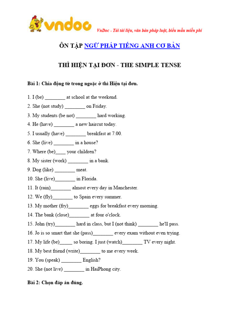 Basic English Grammar Exercises | PDF