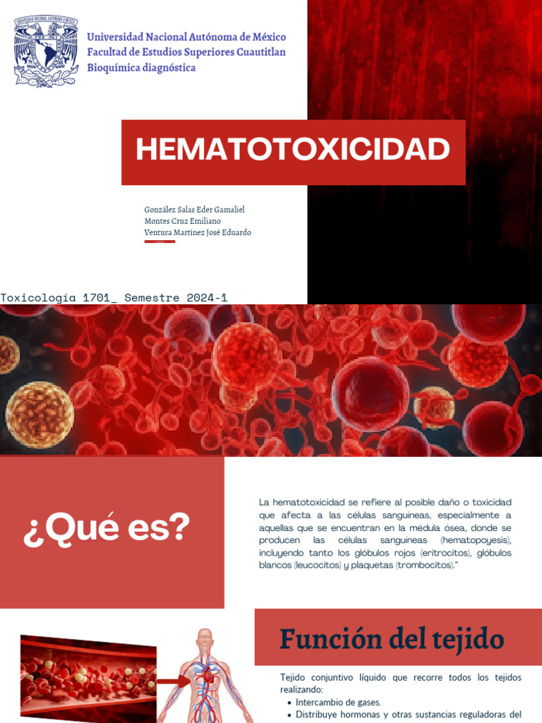 Hematotoxicidad Toxicología | PDF | Sangre | Hueso