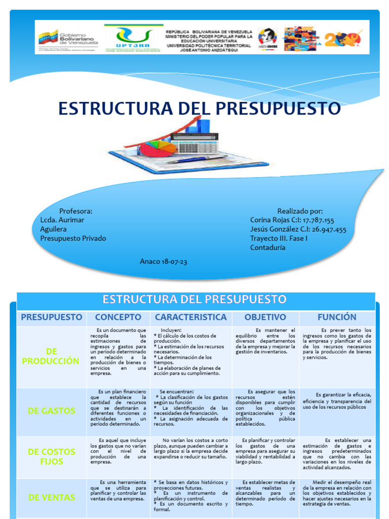 Estructura Del Presupuesto | PDF | Presupuesto | Business