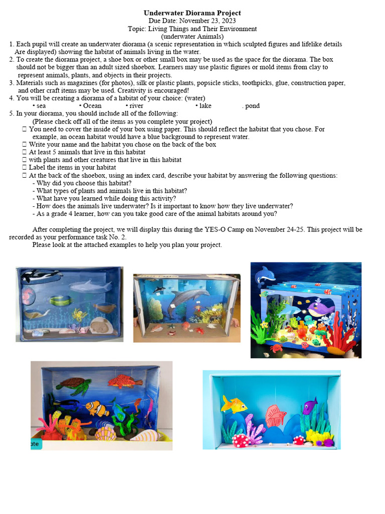 Underwater Diorama Project | PDF | Cognitive Science | Cognition