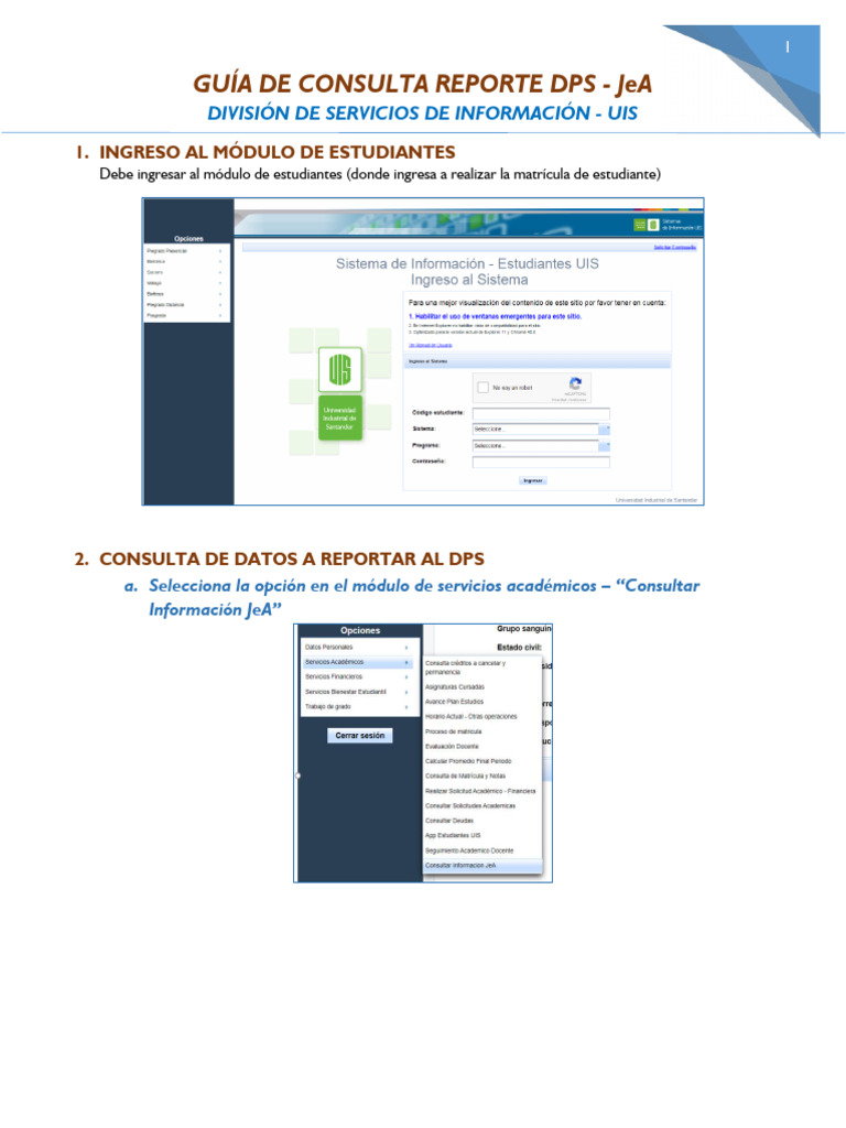 Guia Consulta DPS 5 | PDF
