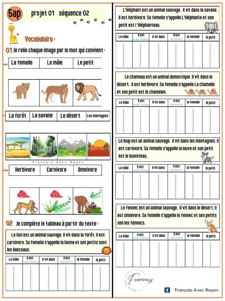 Animaux Sauvages et Domestiques 5AP | PDF | Chameau | Mammifères