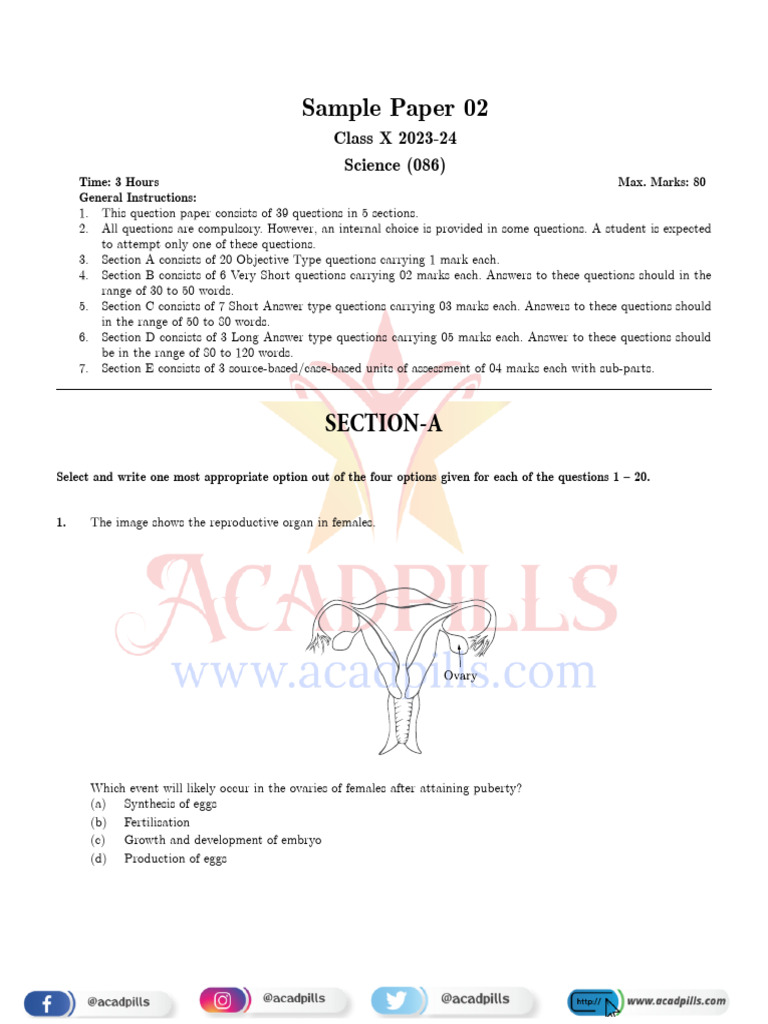 Science Exam Paper Overview for Class X | PDF | Chemical Reactions | Mirror