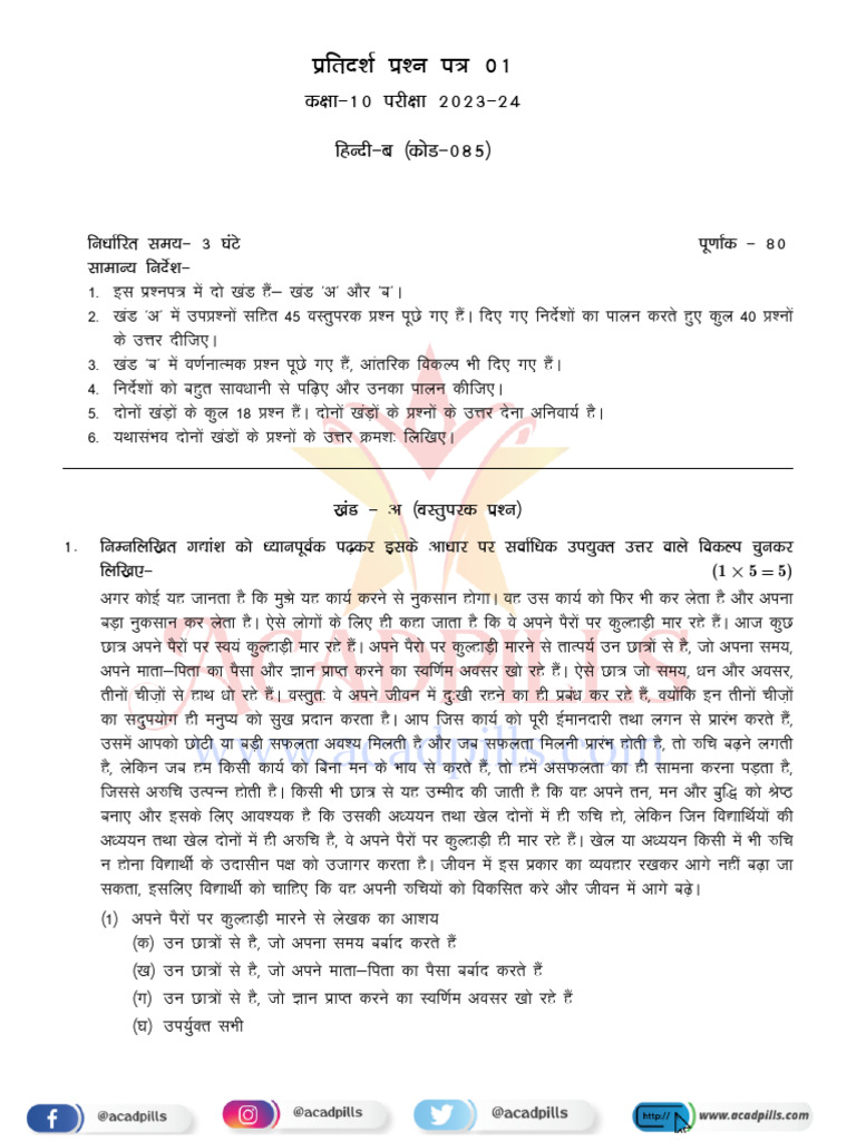 Hindi-B SQP-01 2024 | PDF
