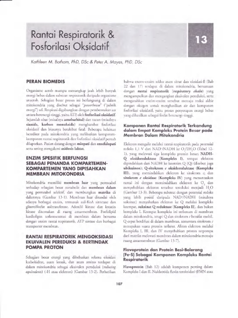 Bab 13. Rantai Respiratorik & Fosforilasi Oksidatif | PDF