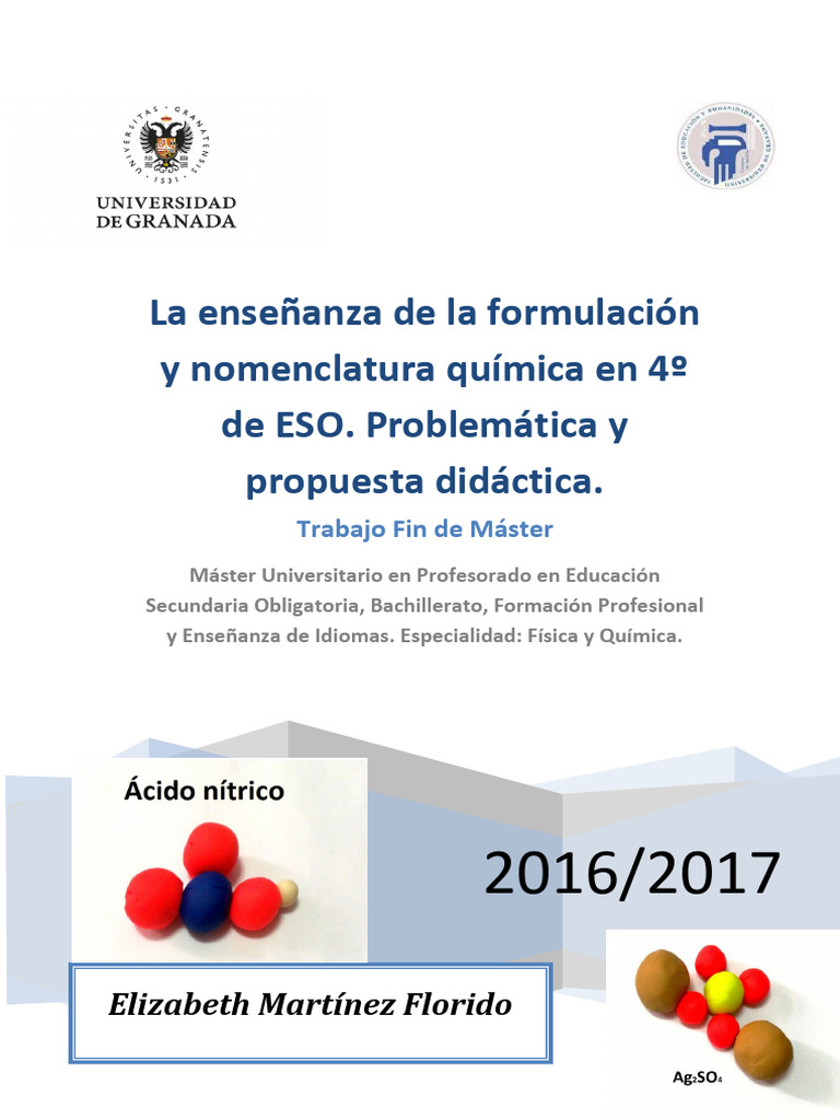 TFM Elizabeth Martínez Florido - 2017 | PDF | Unión internacional de ...