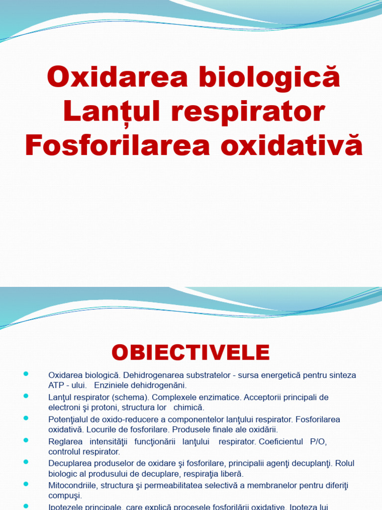 Lantul Respirator-87450 | PDF