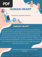 Human Heart Structure Overview | PDF