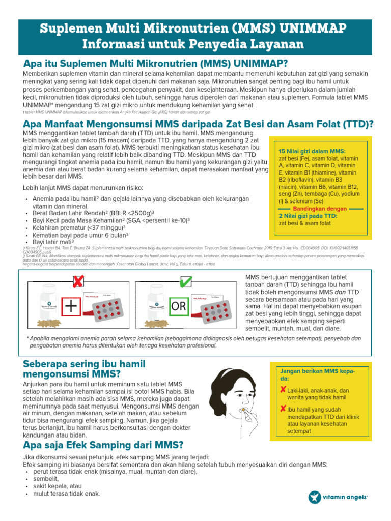 Suplemen MMS untuk Ibu Hamil | PDF