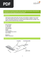 Onion and Cheek Cell Lab Guide | PDF | Cell (Biology) | Anatomy