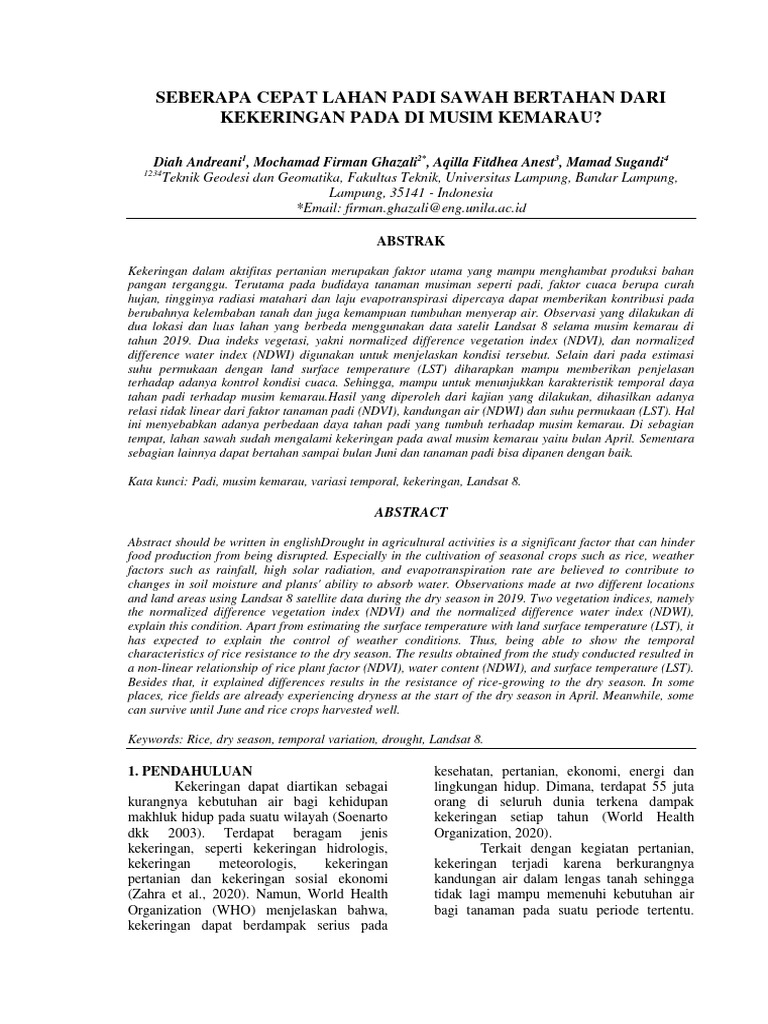 Seberapa Cepat Lahan Padi Sawah Bertahan Dari Kekeringan Pada Di Musim Kemarau | PDF | Teknologi ...