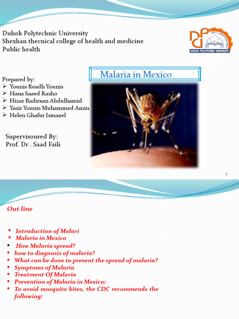 Malaria (1) (Recovered) | PDF | Malaria | Animal Diseases