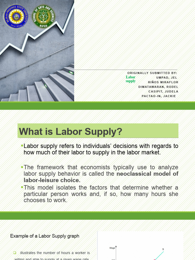 Labor Supply | PDF | Labour Economics | Supply (Economics)