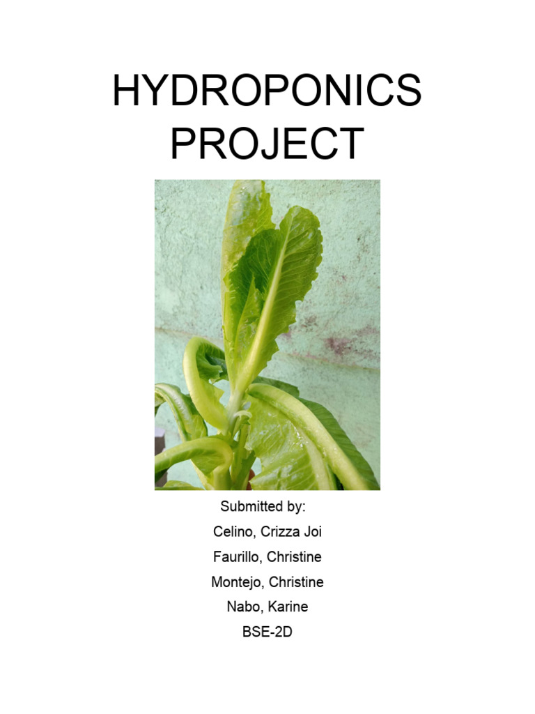 Hydroponics Project | PDF | Hydroponics | Lettuce