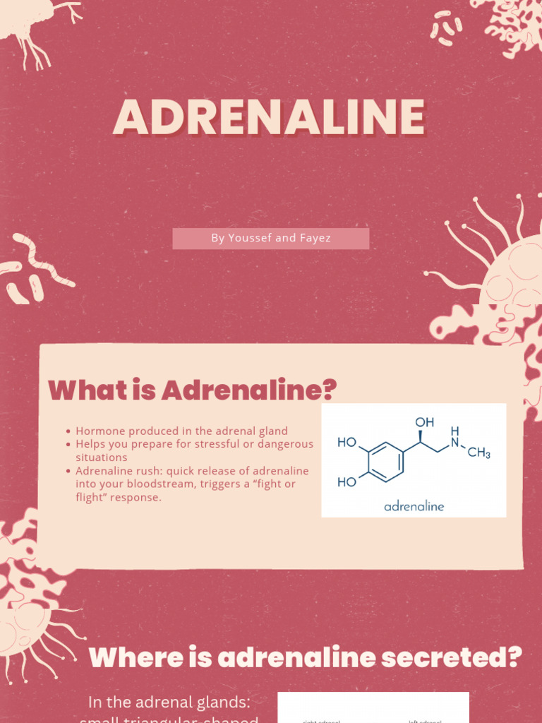 Understanding Adrenaline and Its Effects | PDF | Wellness
