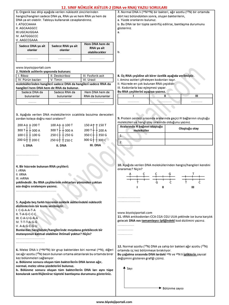 Sinif Biyoloji Nukleik Asitler 1.donem 2.yazili Sorulari | PDF