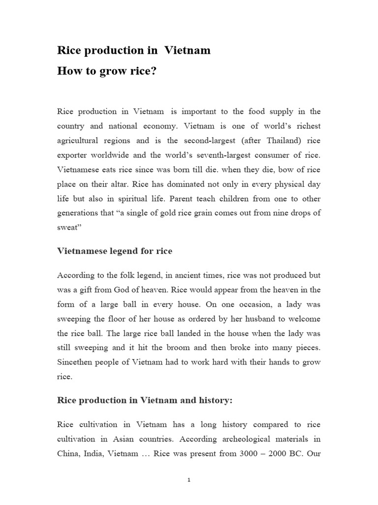 How To Grow Rice | PDF | Rice | Sowing