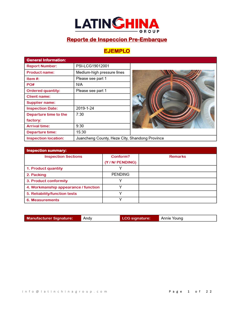 Inspeccion de Mercancia Pre Embarque EJEMPLO | PDF | Business Process