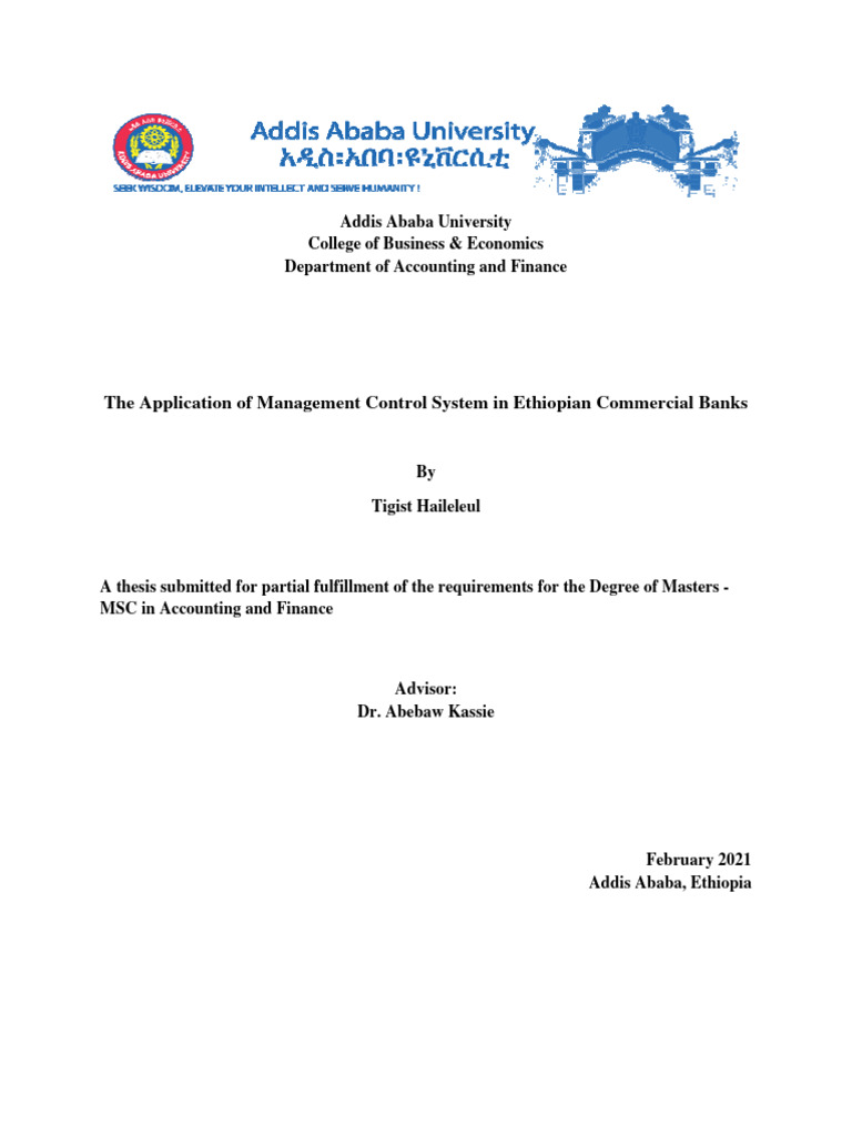 Tigist Haileleul | PDF | System | Governance