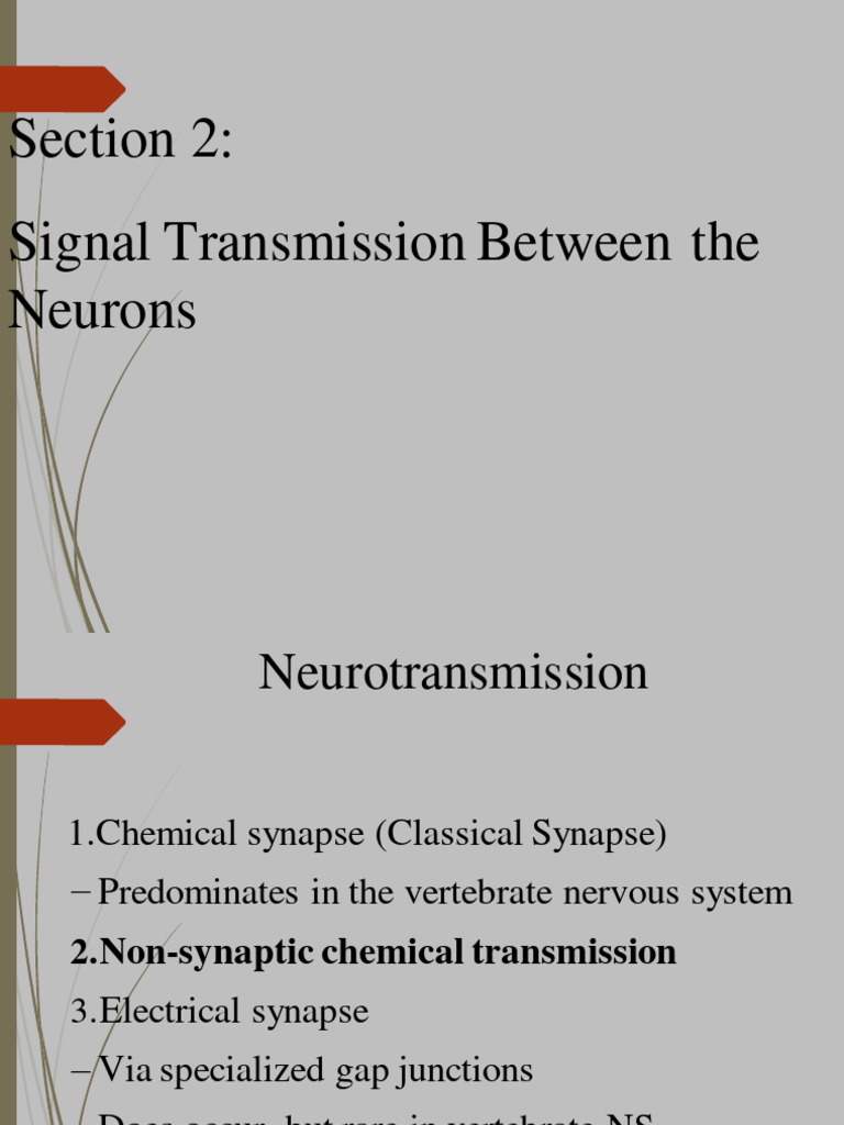 Index | PDF | Chemical Synapse | Inhibitory Postsynaptic Potential