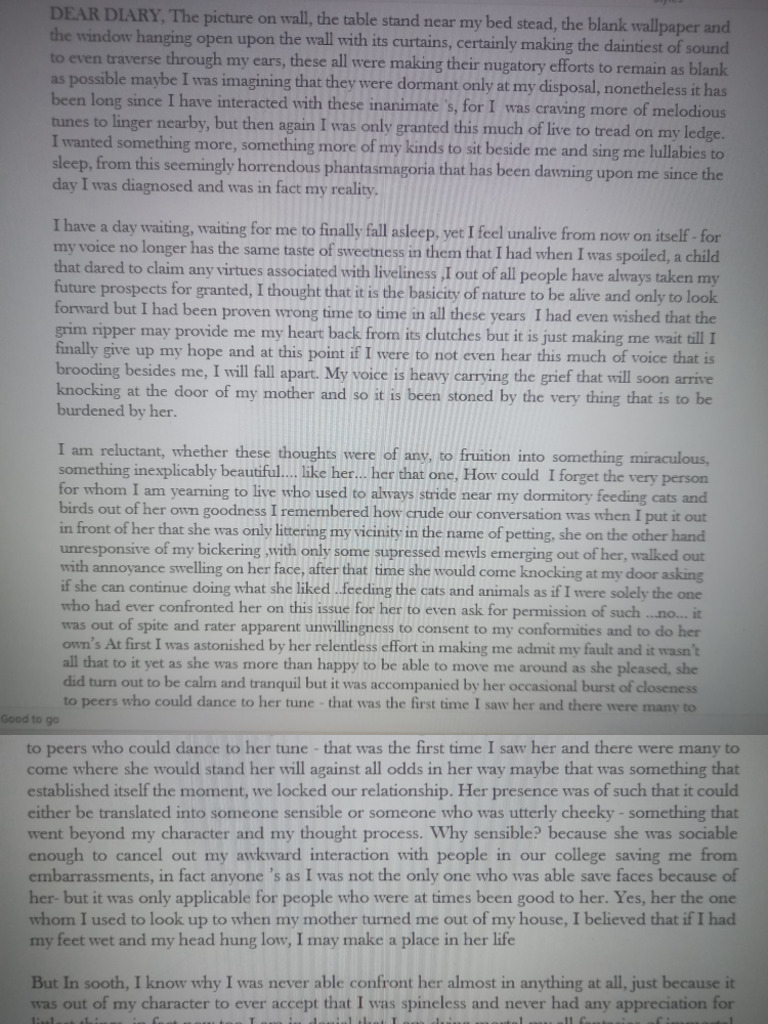 Diary 1 | PDF