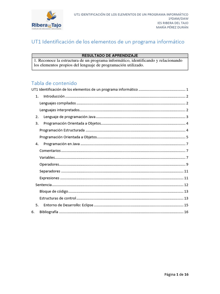 Elementos de un Programa Informático | PDF | Lenguaje de programación | Objeto (informática)