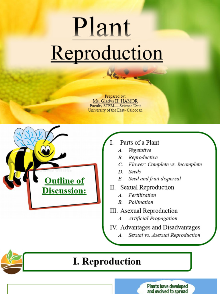 Perpetuation of Life | PDF | Flowers | Plant Reproduction