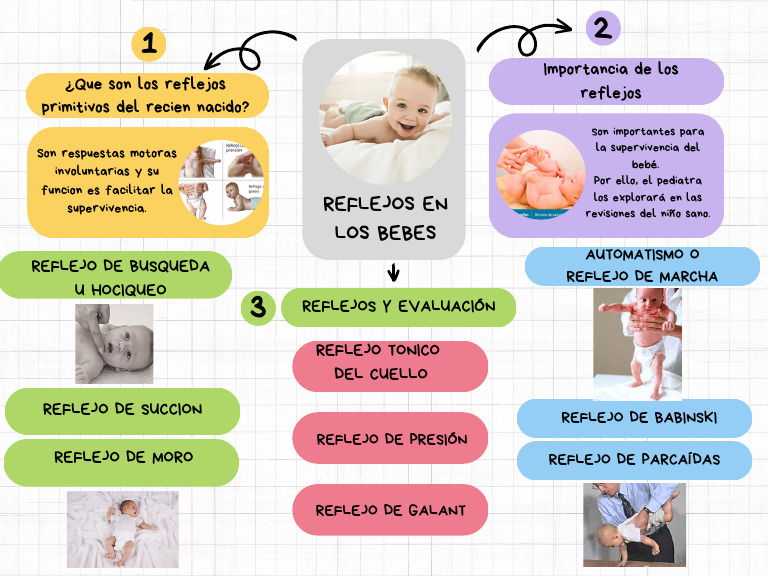 Reflejos en Los Bebés | PDF