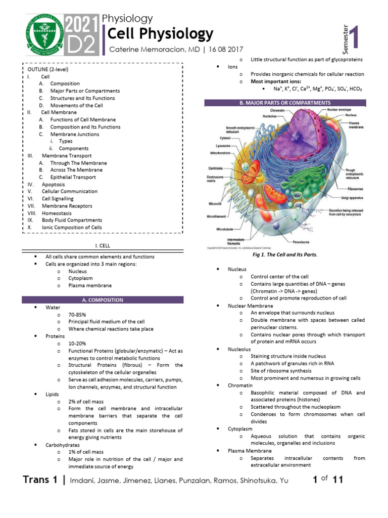 Cell Physiology | PDF | Cell Membrane | Osmosis