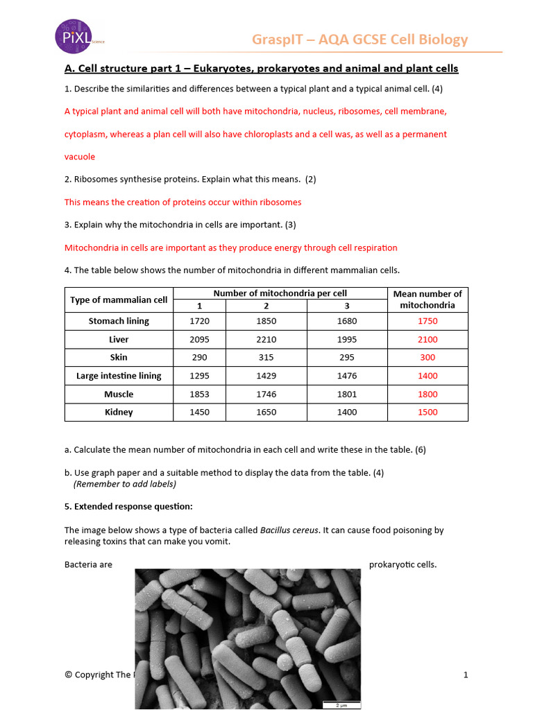 AQA - Biology - Cell Biology - GraspIT - GCSE - Re-Usable Worksheet ...