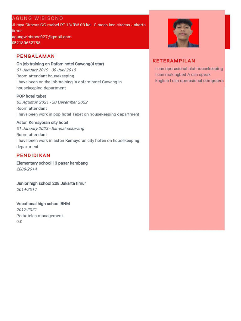 CV Agung Wibisono 2023 | PDF