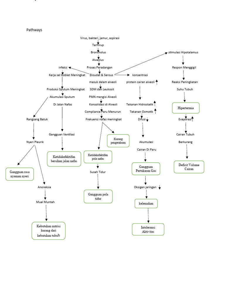 Pathways Pneumonia | PDF