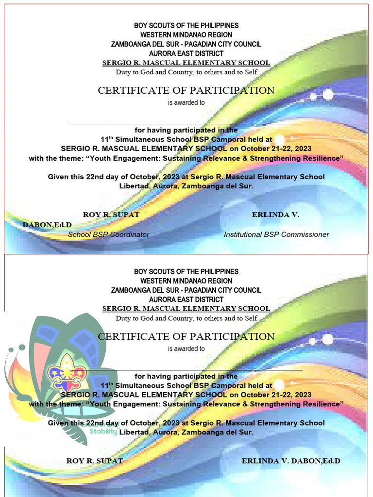 BSP Certificate of Participation 2023 | PDF
