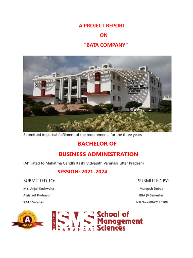 BBA Report: Bata Company Analysis | PDF | Brand | Retail