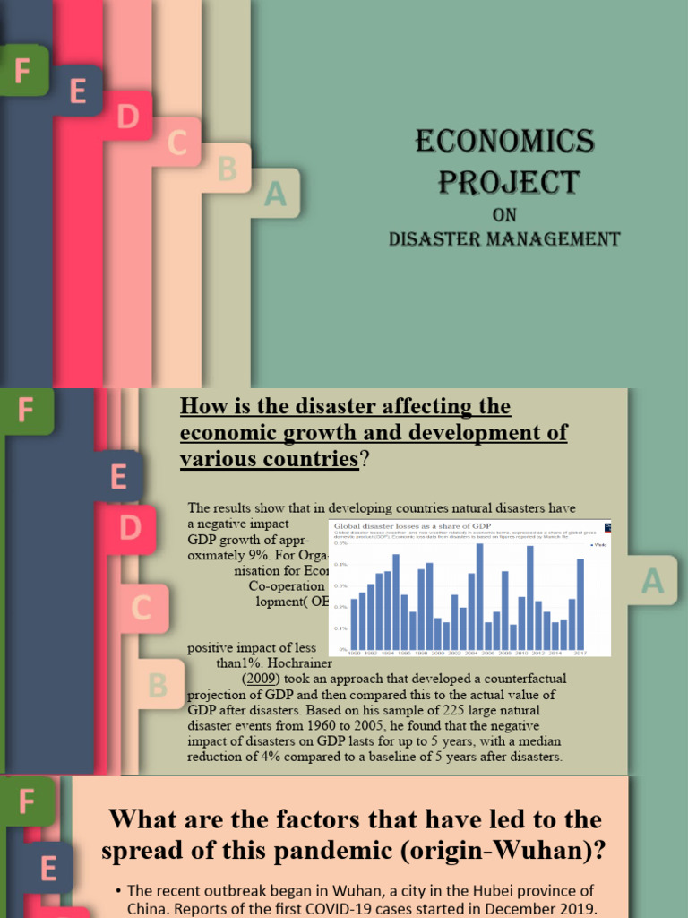 Economics Project Class 10 Cbse | PDF | Infection | Textiles