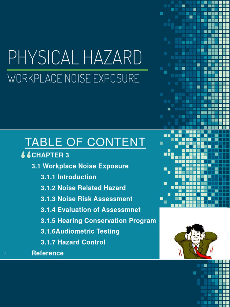 Workplace Noise Exposure Management Guide | PDF | Noise | Hearing Loss