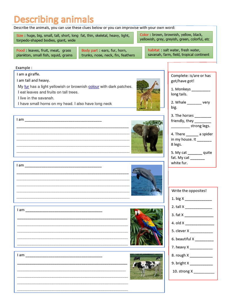 Describing Animals | PDF | Organisms
