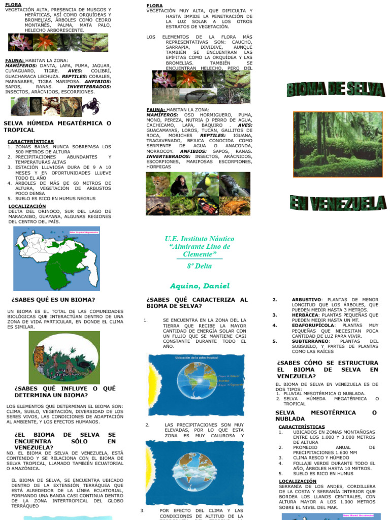 Bioma de Selva en Venezuela: Flora y Fauna | PDF | Selva | Zona tropical