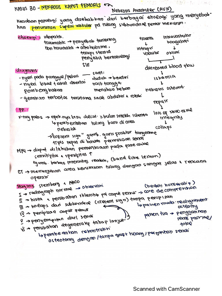 Ringkasan Kasus | PDF