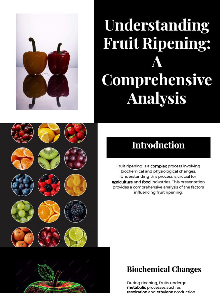 Wepik Understanding Fruit Ripening A Comprehensive Analysis 20231128164913j02H | PDF | Chemistry
