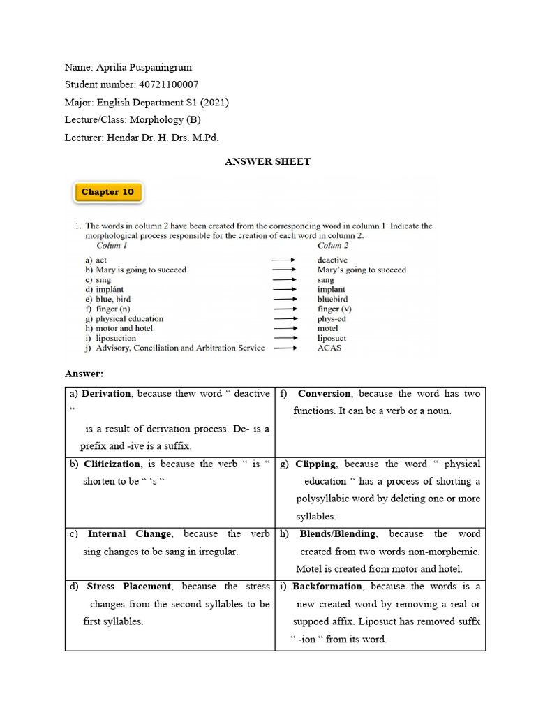 Morphology Task 13 | PDF | Word | Semantics