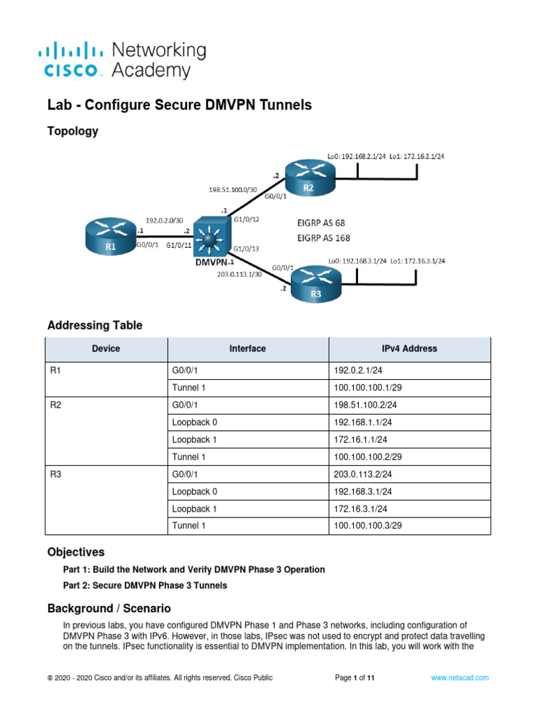 20.1.2 Lab Configure Secure DMVPN Tunnels | PDF | Network Topology | Computer Network