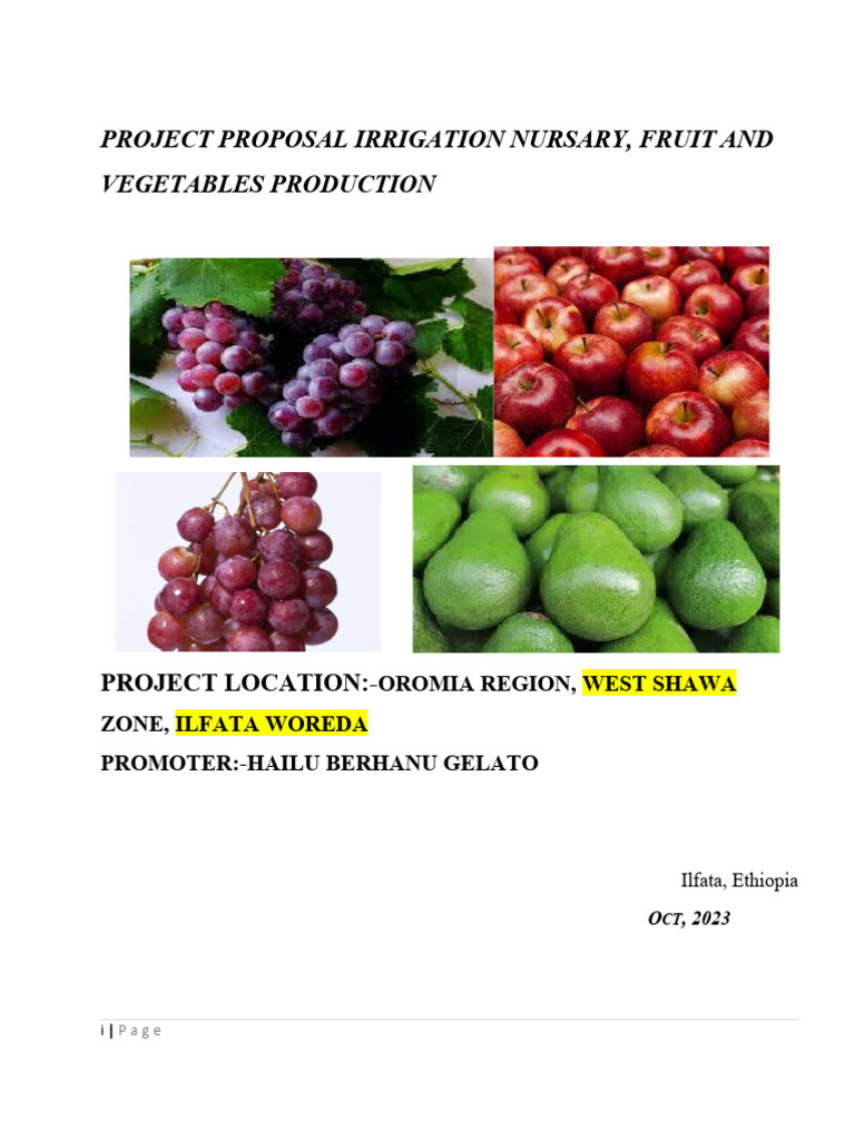 Hailu Ginchi Farm | PDF | Agriculture | Plant Nursery