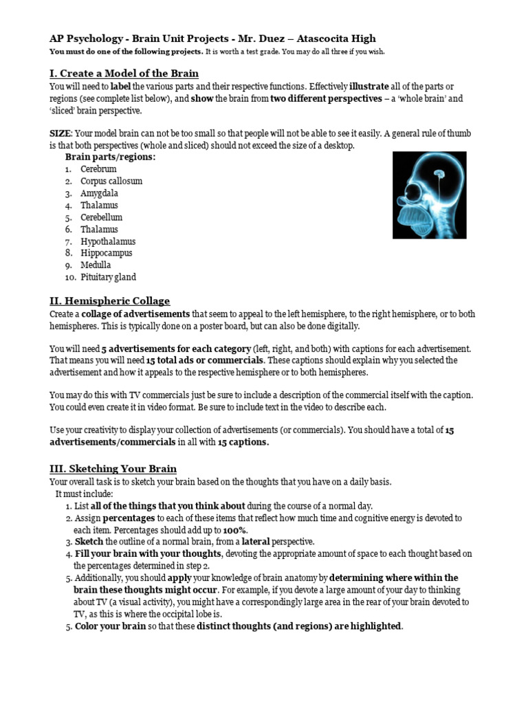 Psych Unit 2 Brain Projoect | PDF | Cerebral Hemisphere | Brain