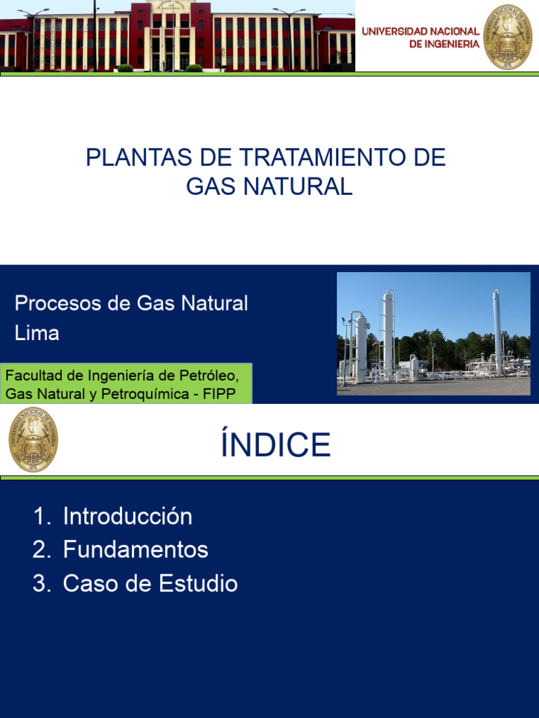 Plantas de Tratamiento de Gas Natural | PDF | Gas natural | Agua
