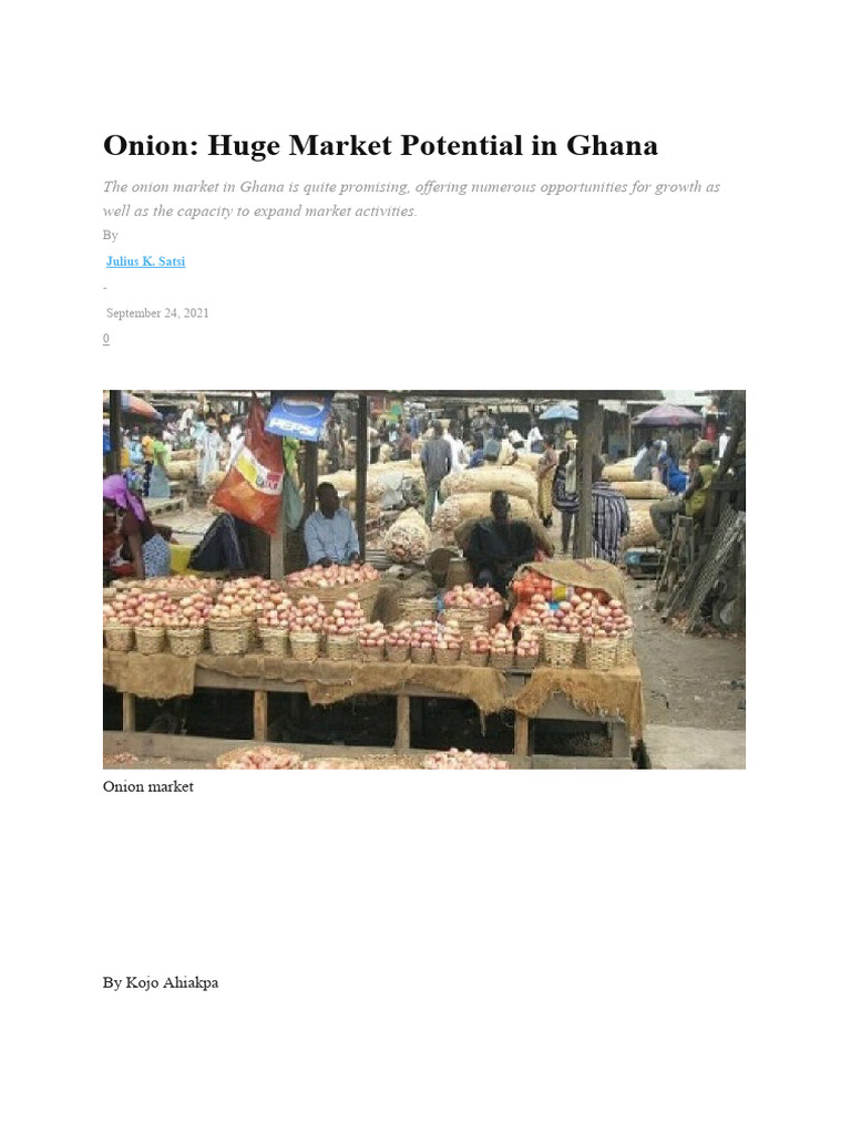 Onion Business Outline 2023 | PDF | Onion | Agriculture